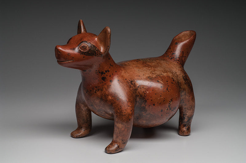 Ancient Colima Redware Pottery Dog @ancientartifact – Galleria ...