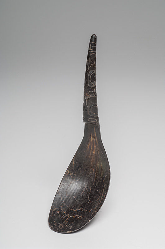 Haida Mountain Goat Horn Spoon - Native American – Galleria Delvecchio ...